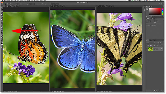 Split View Photoshop Ludavietnam