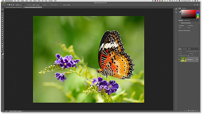 How To View Multiple Images At Once In Photoshop