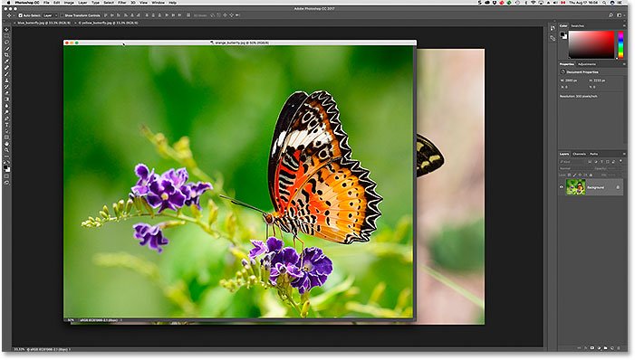 Photoshop 2013 Lasopasignature