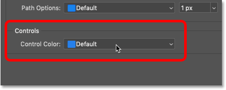 Free Transform in Photoshop CC 2019 - Complete Guide