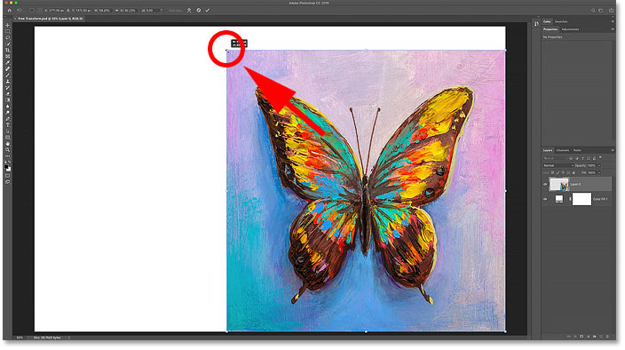 Free Transform in Photoshop CC 2019 - Complete Guide