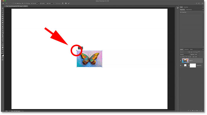 Free Transform in Photoshop CC 2019 - Complete Guide
