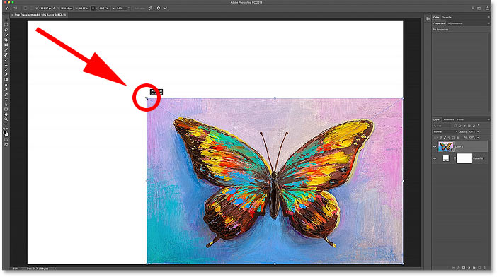 Free Transform in Photoshop CC 2019 - Complete Guide