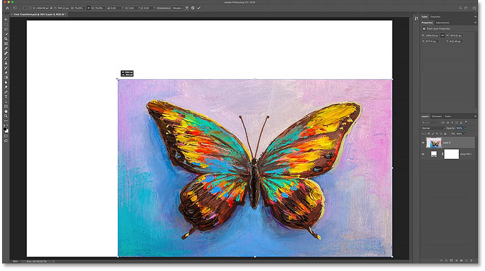 Free Transform in Photoshop CC 2019 - Complete Guide