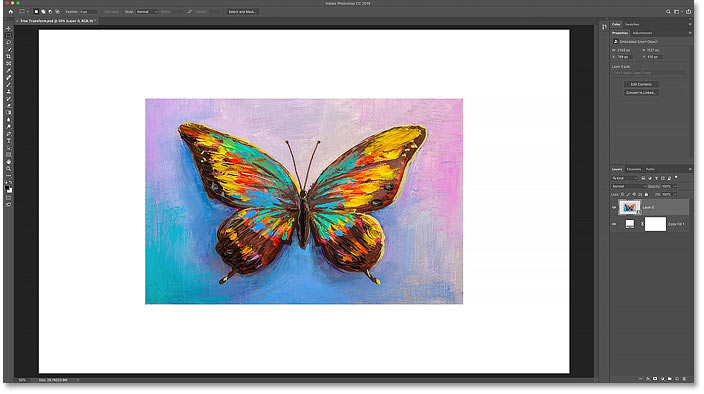 Free Transform in Photoshop CC 2019 - Complete Guide