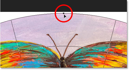 Free Transform in Photoshop CC 2019 - Complete Guide