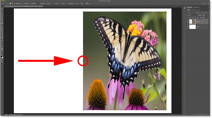Free Transform In Photoshop New Features And Changes