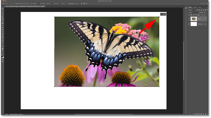 Free Transform In Photoshop CC 2019 New Features And Changes free-transform-in-photoshop-cc-2019-new-features-and-changes