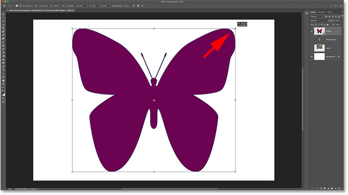 Free Transform in Photoshop CC 2019 - New Features and Changes