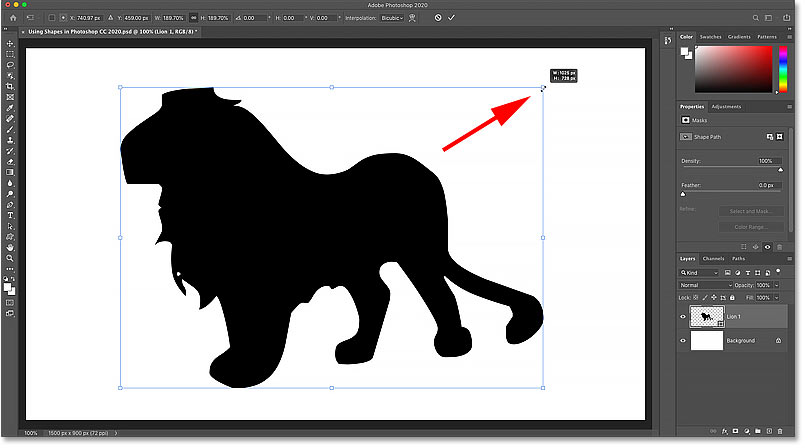 Drawing Custom Shapes with the Shapes Panel in Photoshop CC 2020