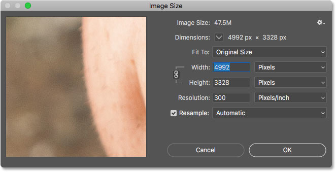 Photoshop s Image Size Command Features And Tips