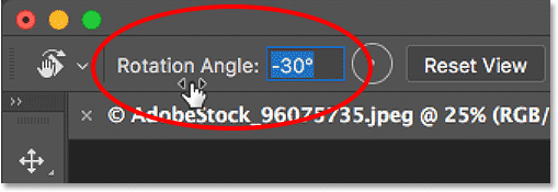 Reset View Photoshop Cs6 Rapluda