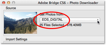 How To Transfer Photos From Your Camera To Your Computer
